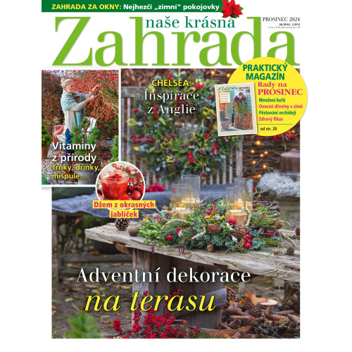 Kloš jelení dokáže houbařům pěkně znepříjemnit procházku po lese. Jak ...