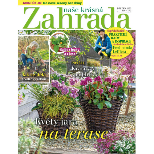 Jak osázet zeleninové záhony: Stačí 4 kroky | Naše krásná zahrada