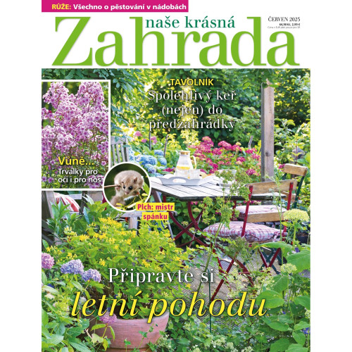 Jak se starat o pachiru: Kdy ji přesadit, namnožit, zalévat a ostříhat ...