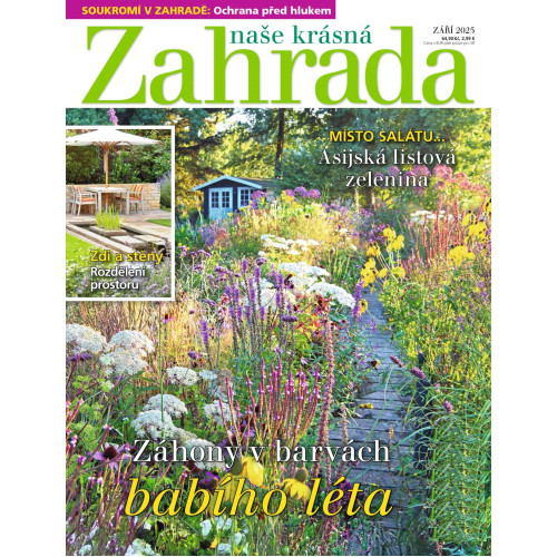 Na podzim vysaďte do truhlíků stálezelené rostliny: 3 trvalky s ...