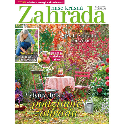 Na podzim vysaďte do truhlíků stálezelené rostliny: 3 trvalky s ...